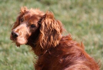 Romeo Remington - 8/31/10